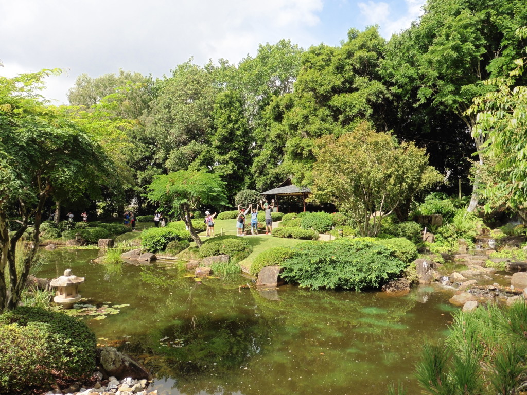 Mt Coo-tha one of South East Queensland’s best lookouts! | Langports