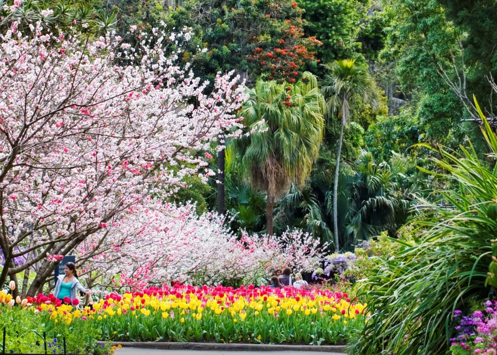 Things to do in spring season in Brisbane, Gold Coast and Sydney ...