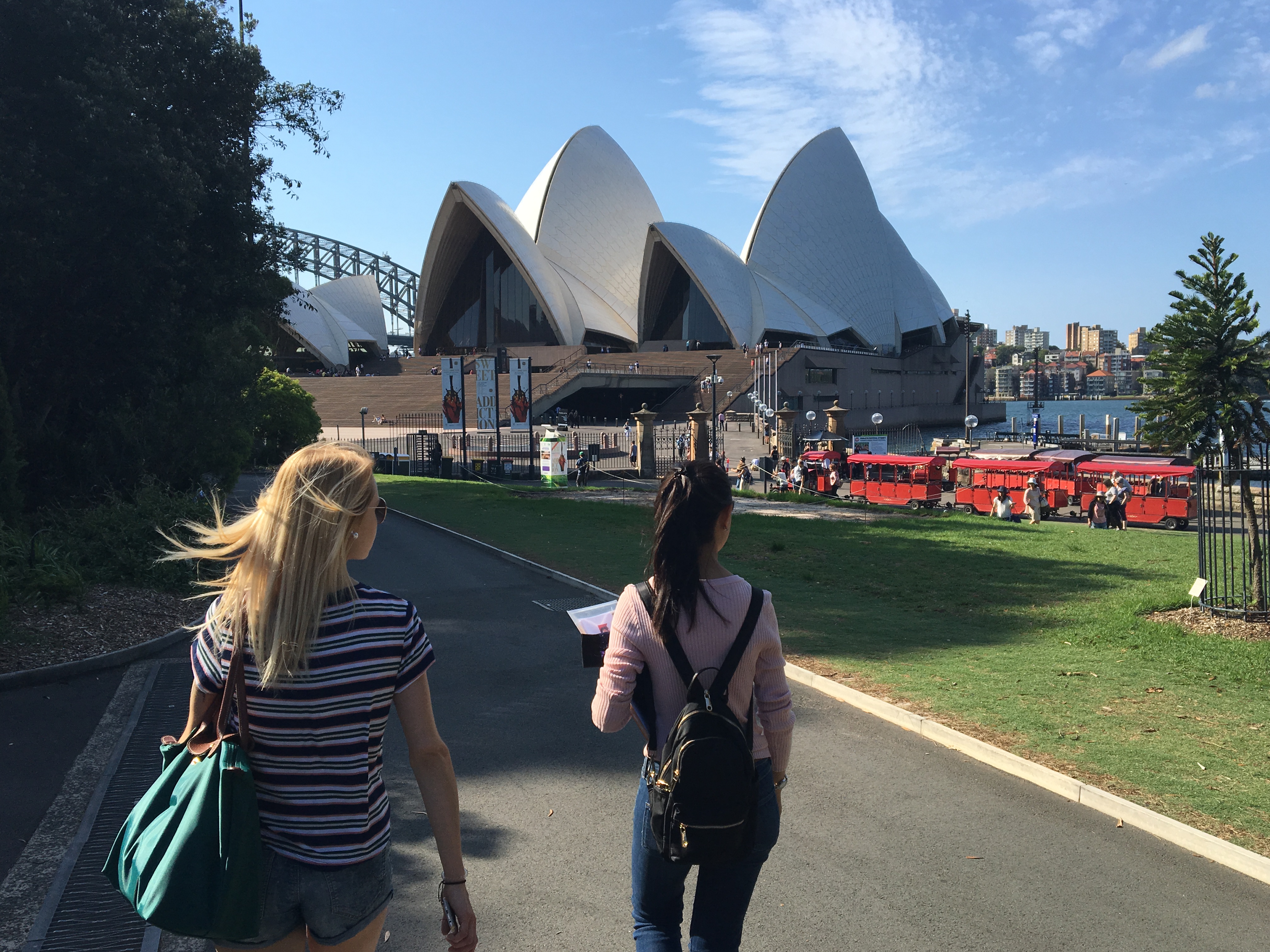 IMG_3856 | Langports