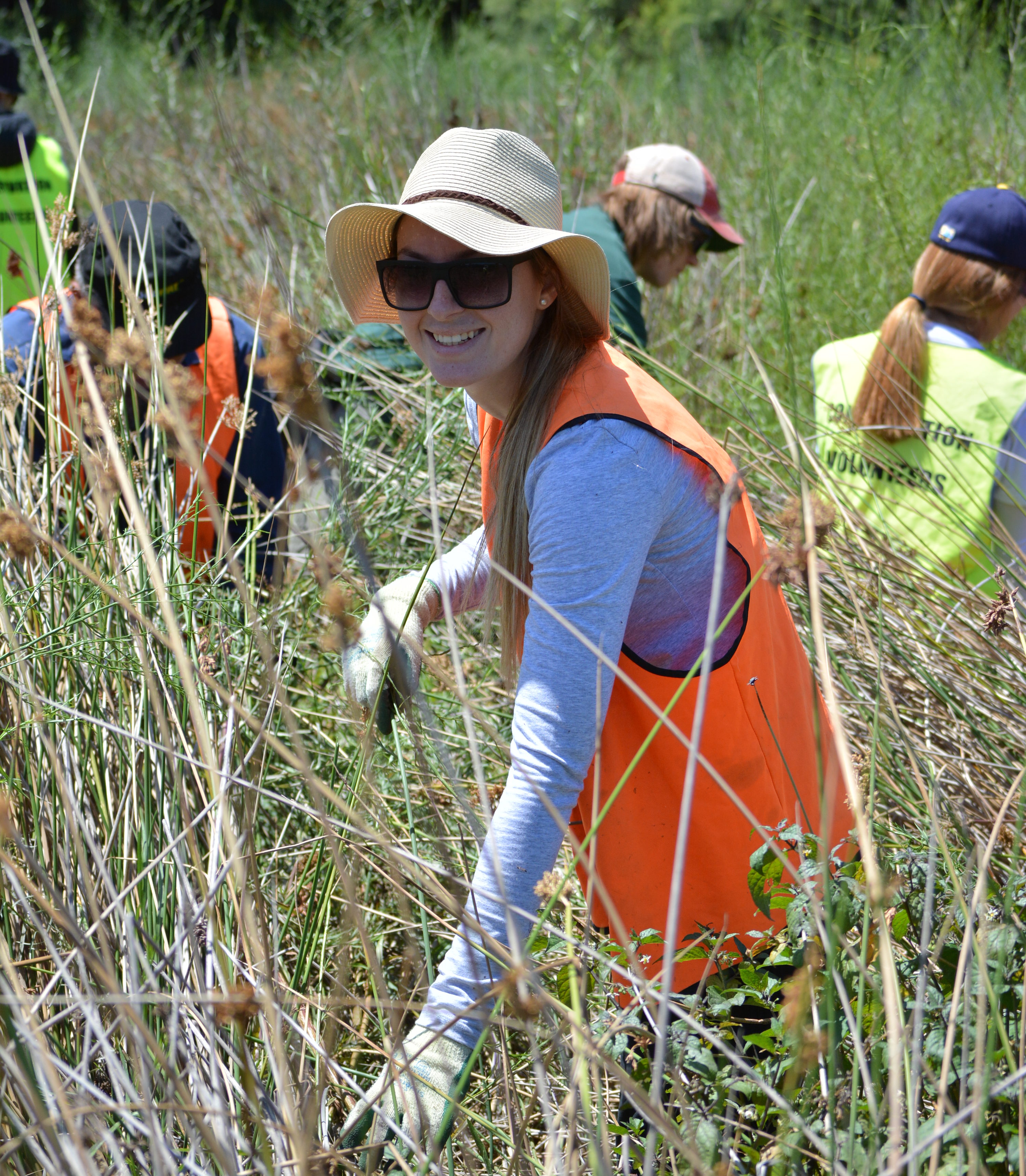 Langports Volunteering Program - Environment Conservation | Langports