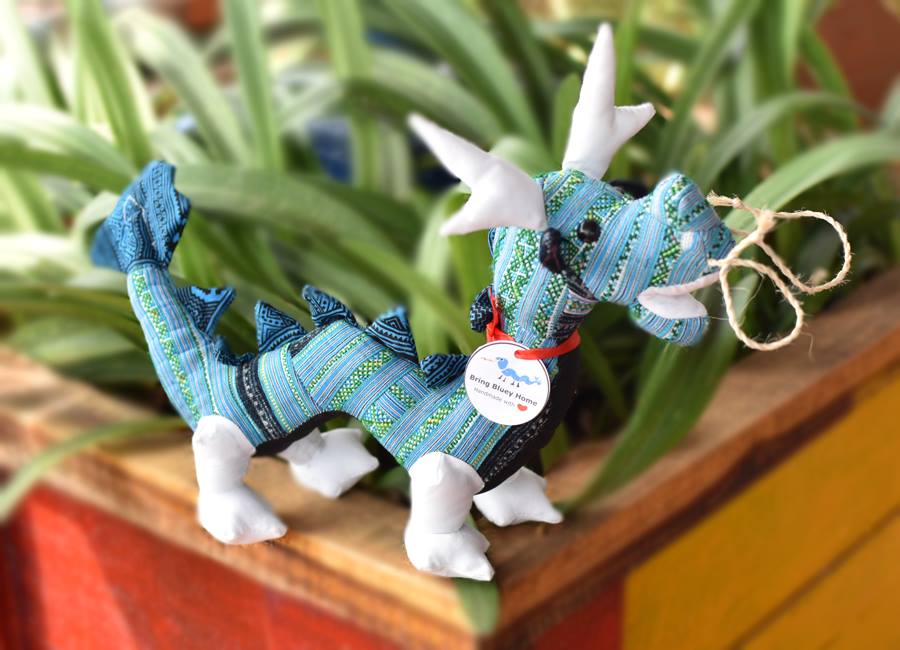 The Blue Dragon Children’s Foundation